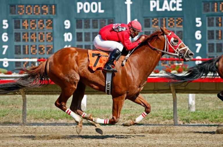 Race Horse Top Speed – How Fast Can Race Horses Run?